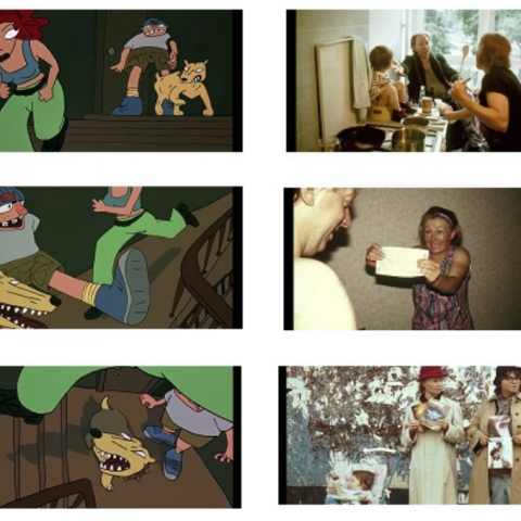 DTC 491 - Course Modules